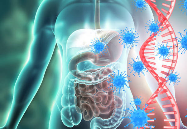 What is Autoimmune Disease? Understanding the Immune System Gone Wrong ...