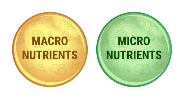 Macro vs. Micro Nutrients: What Your Body Needs - Autoimmune Institute