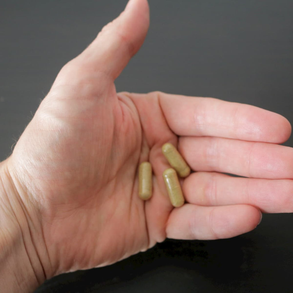 All Products - Autoimmune Institute